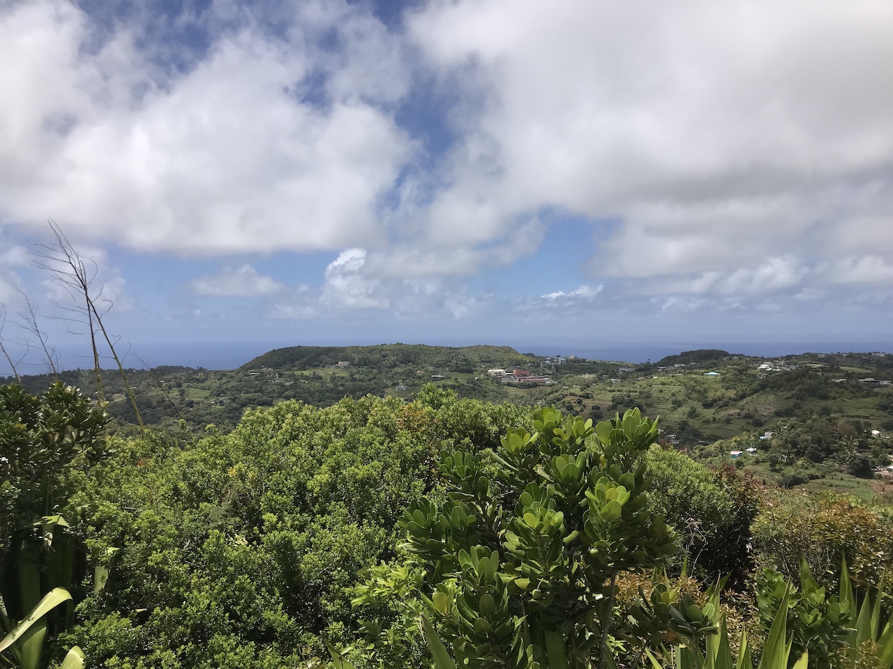 Mont Limon En | Discovery Rodrigues